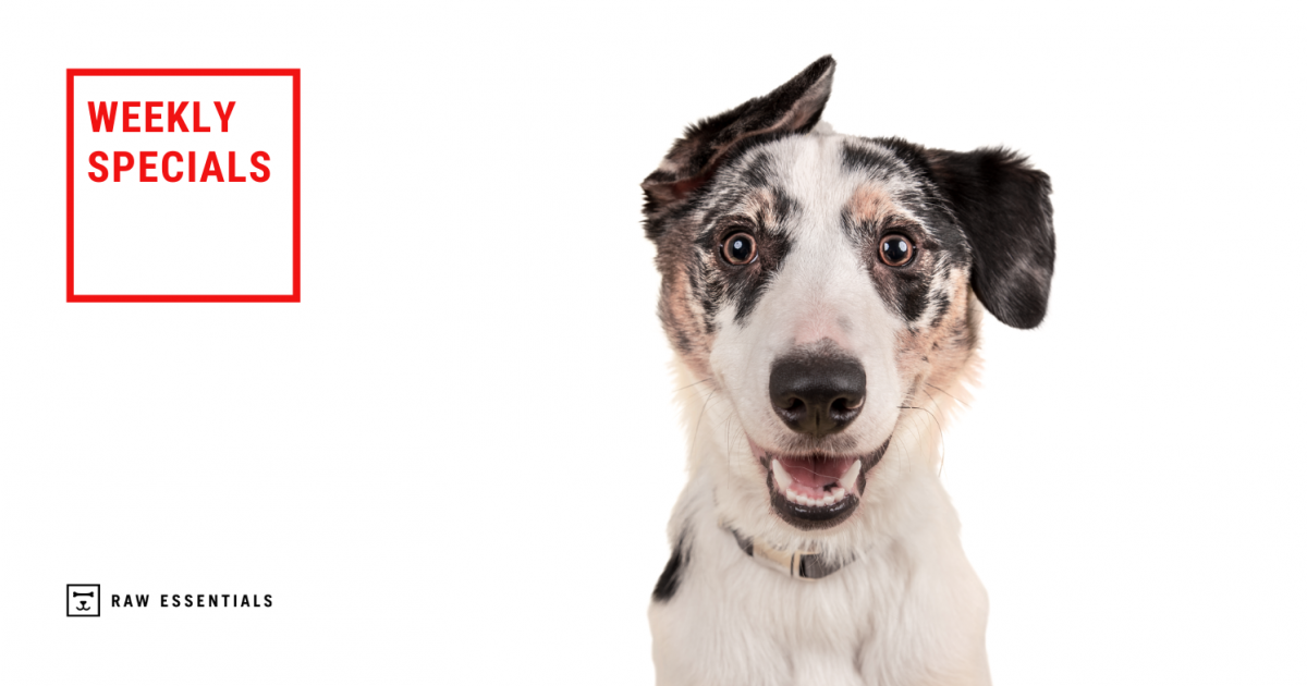 25kg Dog Feeding Guide - what to feed and how much I Raw Essentials