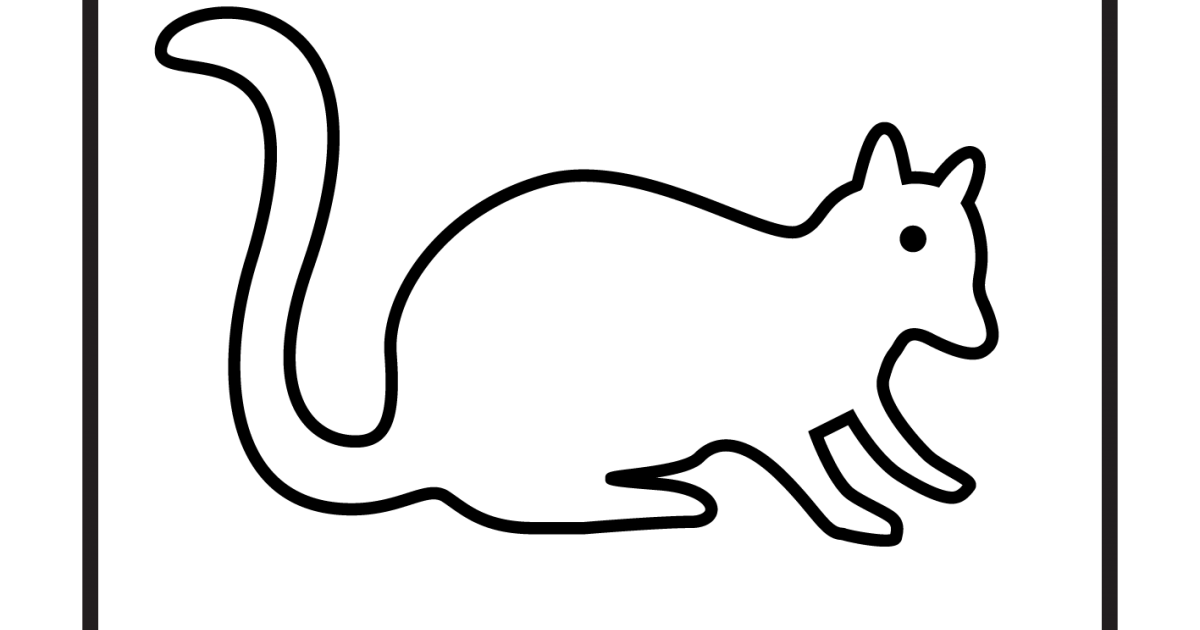 Possum Dog & Cat Food - Buy Minces, Mixes, & Pieces | Raw Essentials